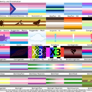 Choose Your Gender Identity and Expression Pride Wall Flags | All-over ...