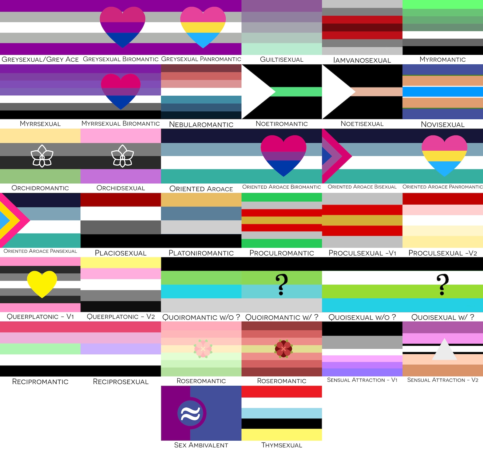 Choose Your Aroace Pride Flags Single or Double-sided 2 - Etsy