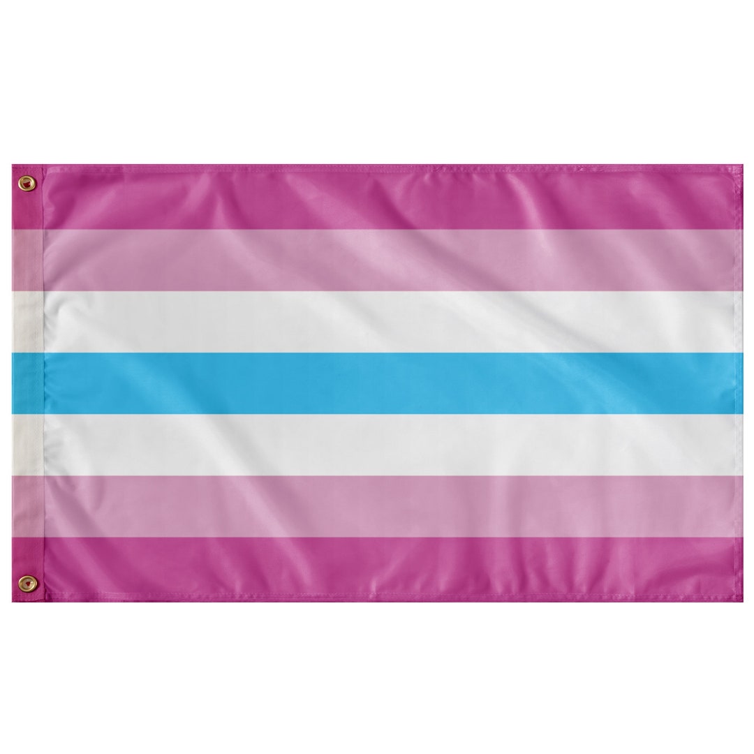Femboy Pride Wall Flag Single-reverse 36x60 Gender - Etsy