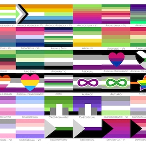 Aroace Spectrum Pride Hand/desk Flags Choose Your Flag - Etsy