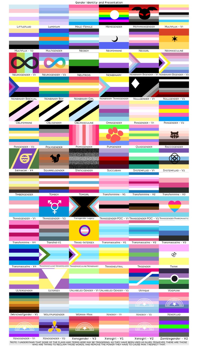 Choose Your Gender Pride Wall Flags | Single-sided | 5 Sizes | Gender ...