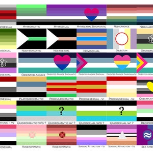 Choose Your Aroace Pride Wall Flags All-over-print 5 Sizes LGBTQIA2S ...