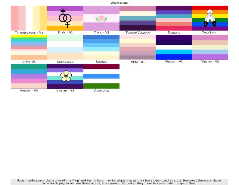 Orientation Pride Wall Flags | Single-sided | 4 Sizes | 2SLGBTQIA - Etsy