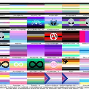 Choose Your Gender Identity and Expression Pride Wall Flags All-over ...