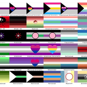Aroace Spectrum Pride Hand/desk Flags! | Choose Your Flag | Double Sided - Etsy