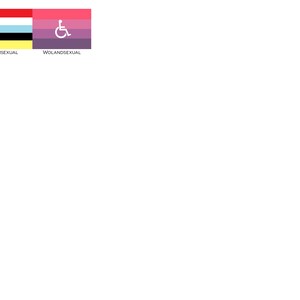 Choose Your Aroace Pride Wall Flags All-over-print 5 Sizes LGBTQIA2S ...