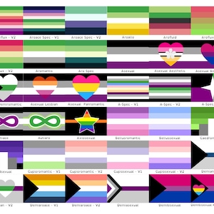 Choose Your Aroace Pride Flags Single Or Double Sided 2 Sizes
