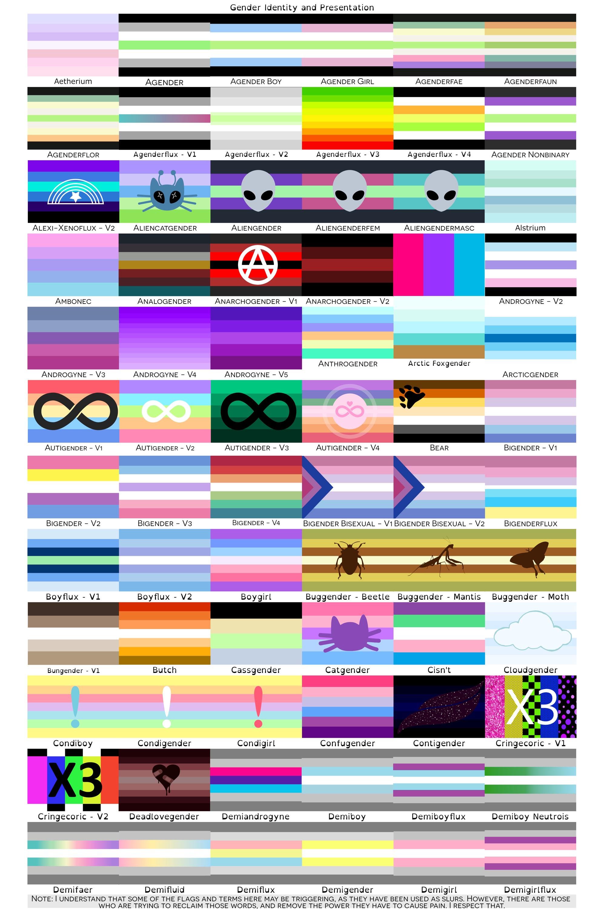 Choose Your Gender Identity and Expression Pride Wall Flags | All-over ...