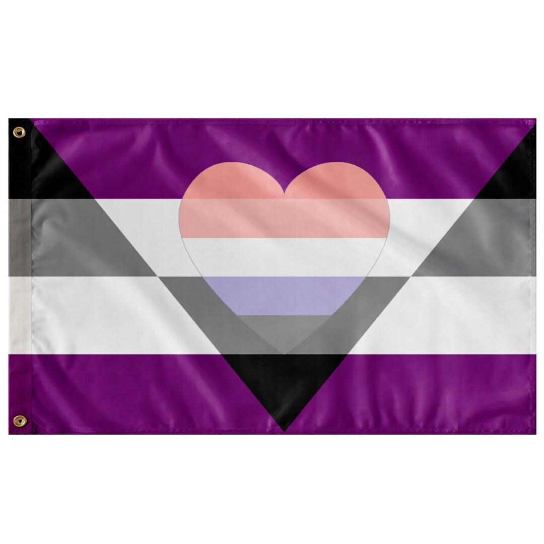 Aegosexual Cupioromantic Wall Flag Single Reverse 36x60 Etsy