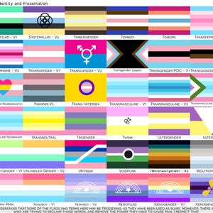 Gender Identity and Expression Pride Hand/desk Flags! | Choose Your ...