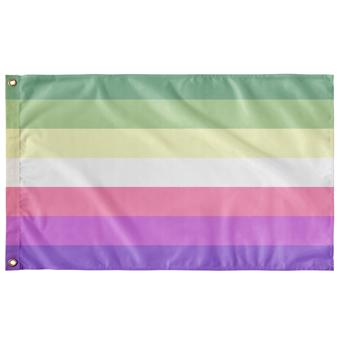 Bandera del Muro del Orgullo de Genderfae / Reverso Único / - Etsy España