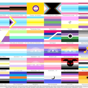 Choose Your Gender Identity and Expression Pride Wall Flags All-over ...