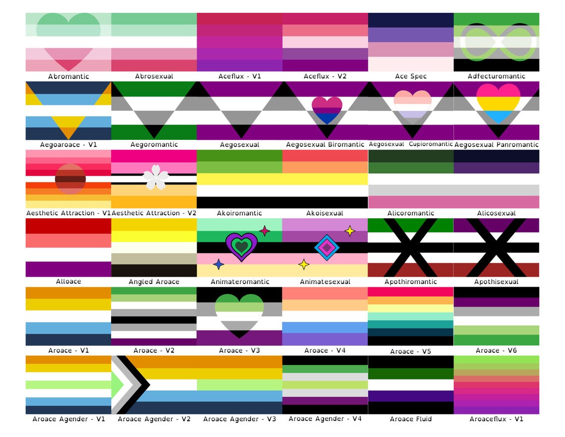Choose Your Aroace Pride Wall Flag | Single-sided | 4 Sizes | Aromantic ...