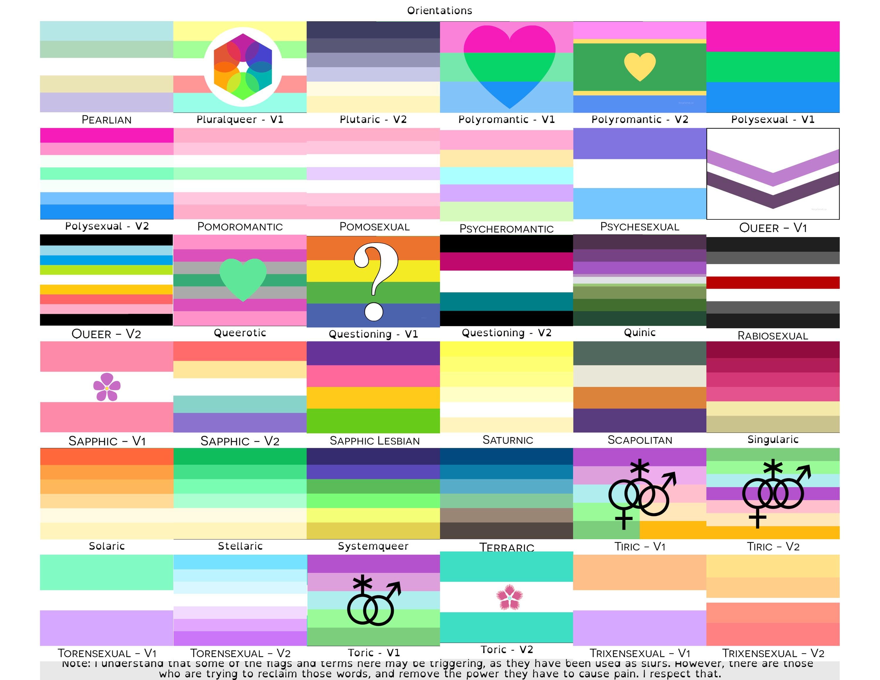Orientation Pride Wall Flags | Single-sided | 4 Sizes | 2SLGBTQIA - Etsy