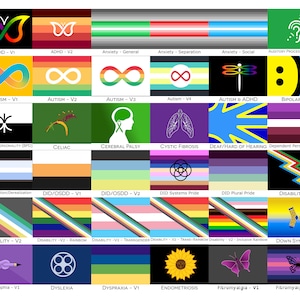Choose Your Disability and Neurodivergent Wall Flags Single-sided 5 ...