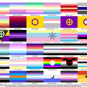 Choose Your Gender Identity and Expression Pride Wall Flags All-over ...