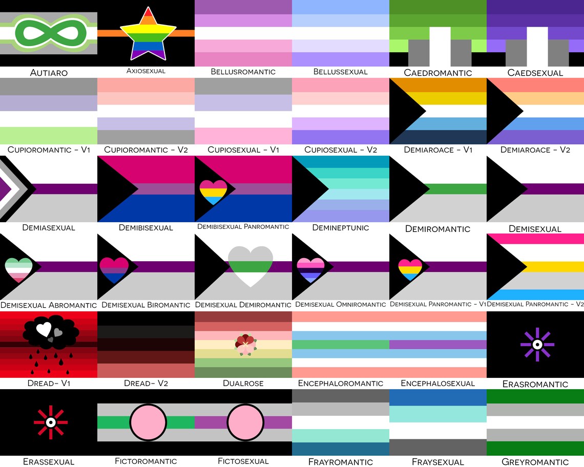 Aroace Spectrum Pride Button Pack Mix'n'match - Etsy Canada