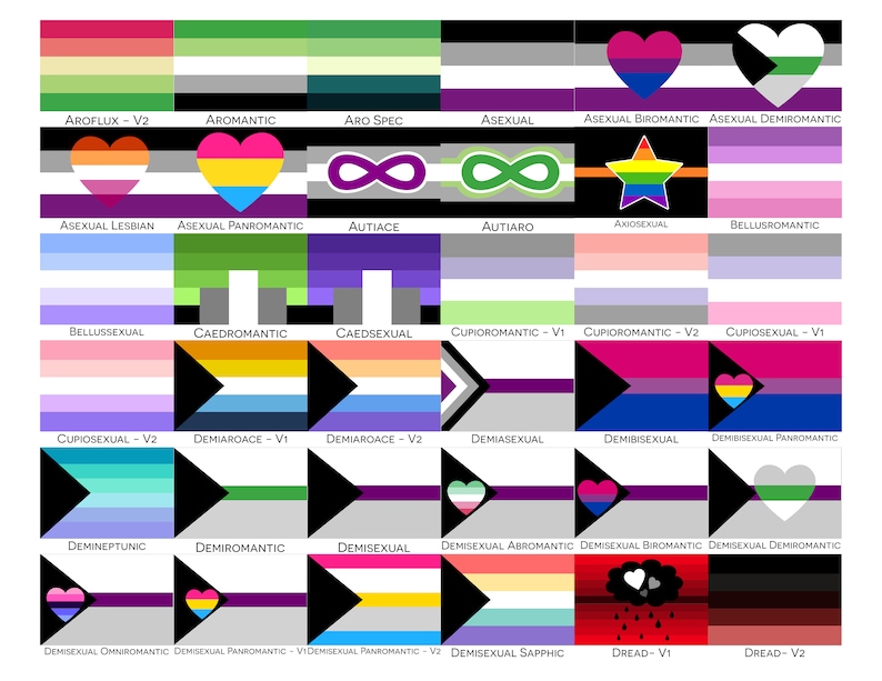 Aroace Spectrum Pride Hand/desk Flags Choose Your Flag - Etsy