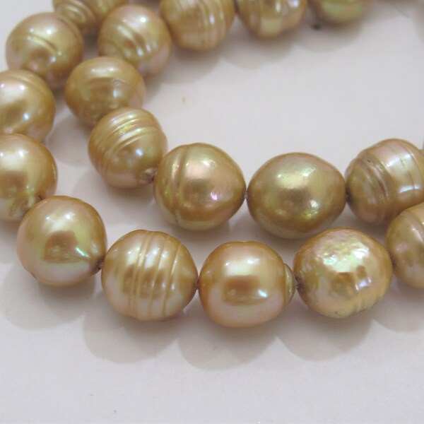 Champagne Pearl - Etsy