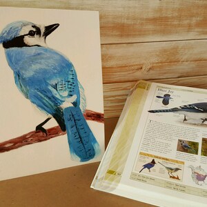 Blue Jay Art, Bird Watercolor Fine Art Print, Blue Bird Illustration ...