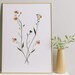 Printable Spring Flowers Poster, Minimal Floral Drawing, Botanical ...