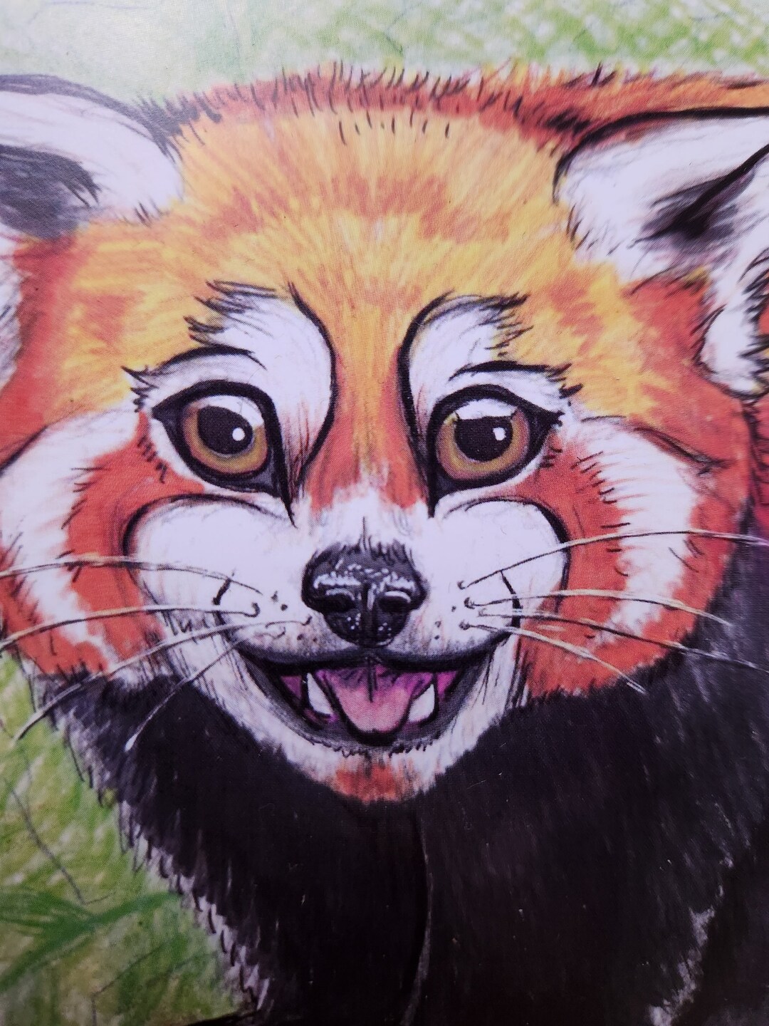 Red Panda 4-pack Greeting Cards With Envelopes - Etsy