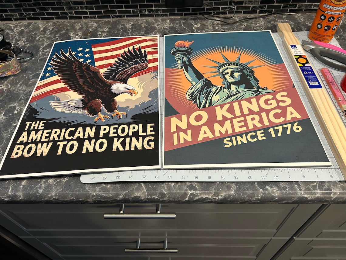Anti Fascist Poster, Save Democracy Protest, Anti Trump Regime, 50501 ...