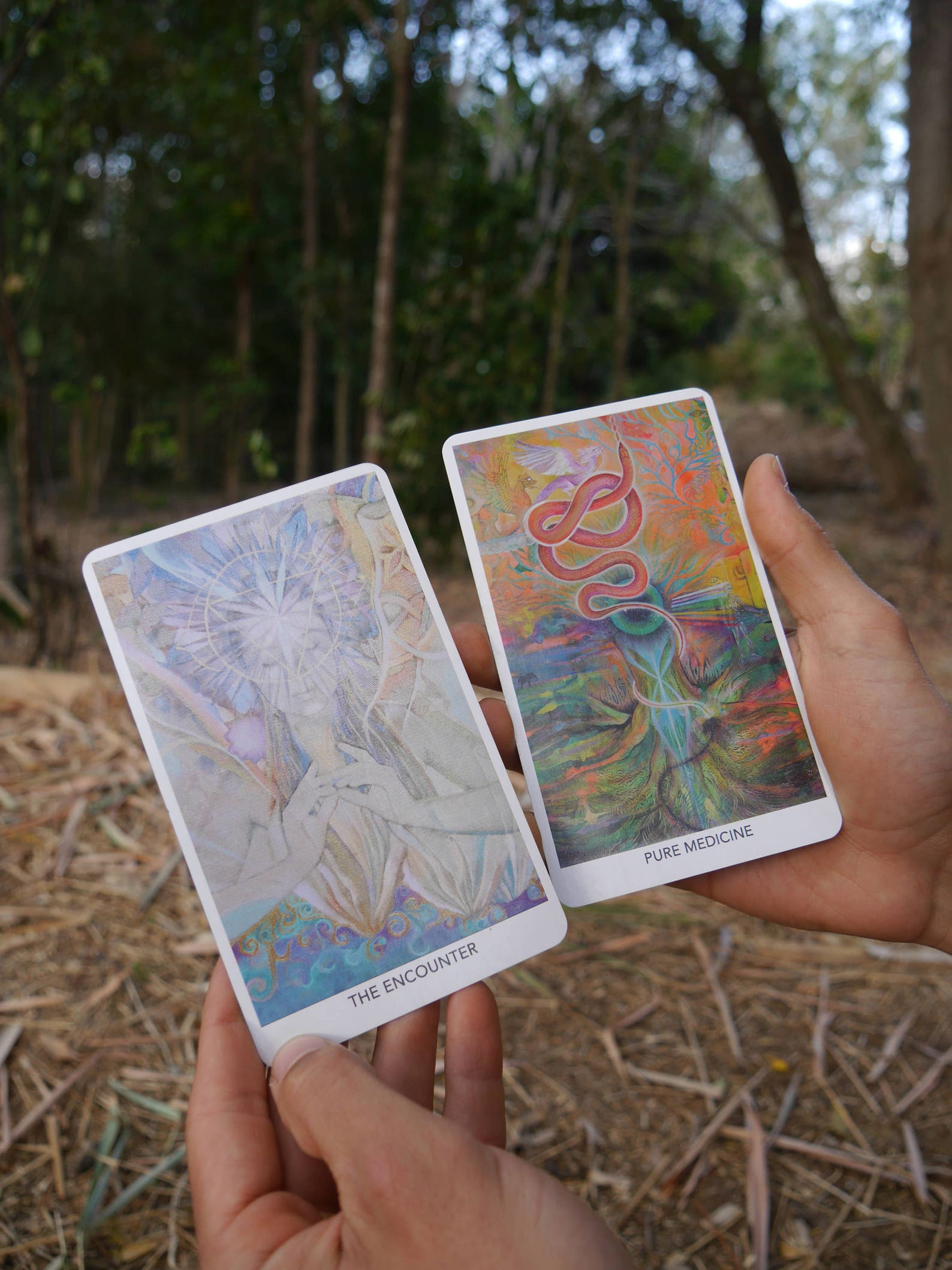 Spiral Oracle Deck Oracle Cards Original Art Deck - Etsy