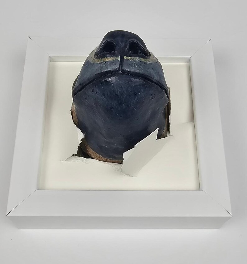 Blue Heeler Ceramic Dog Snout-wall Hanging - Etsy