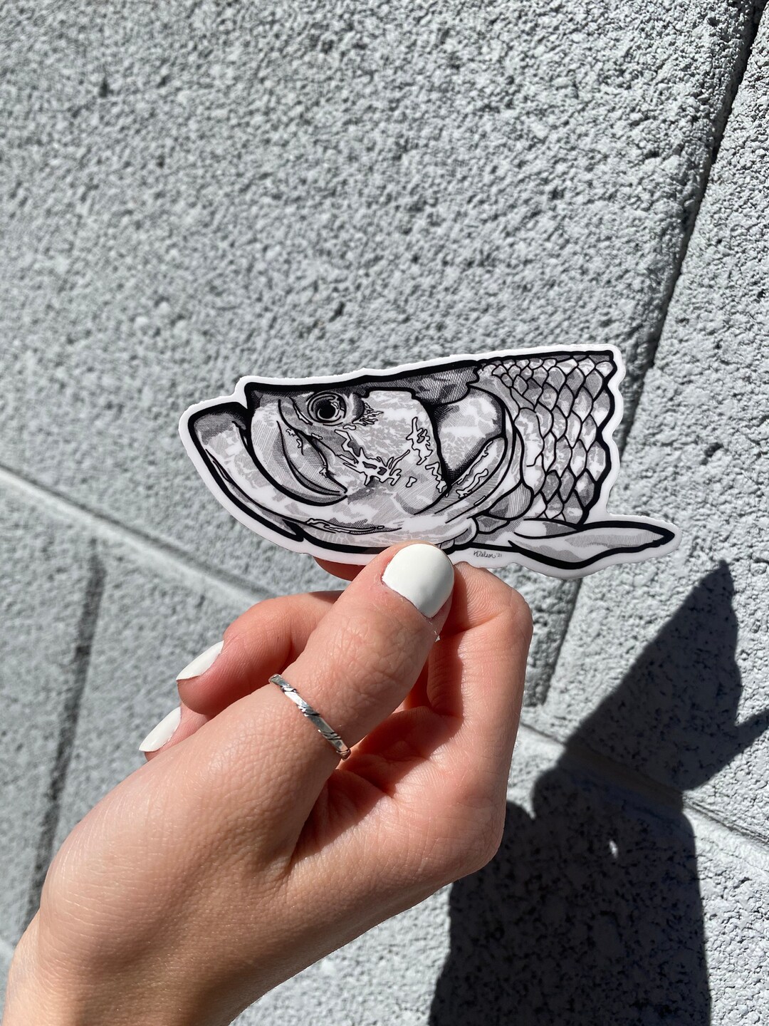 5-pack Tarpon Stickers - Etsy