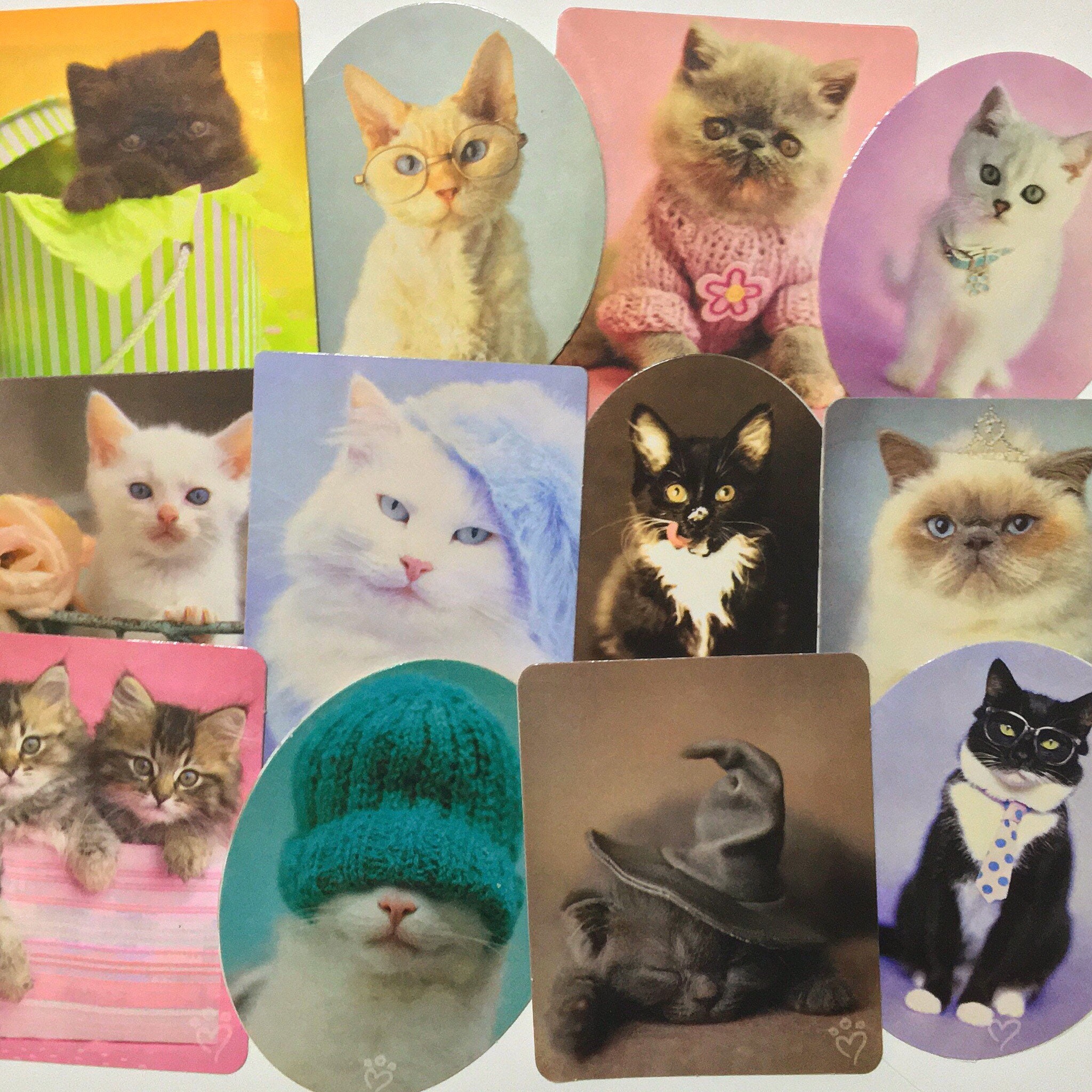 Early 2000s Kitty Cat Portraits Vending Machine Stickers | Etsy