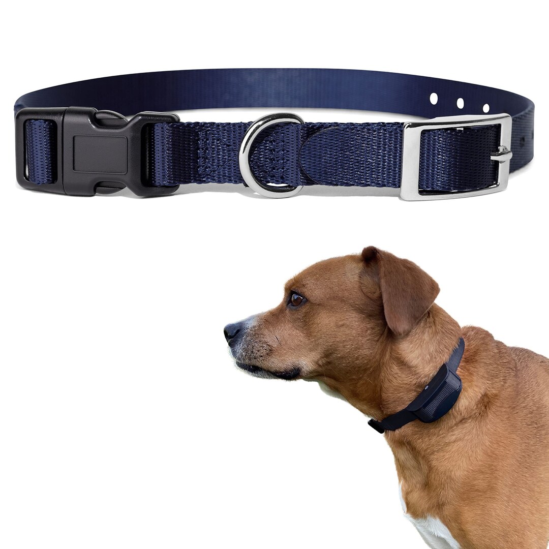 Pawsitive E-collar Replacement Strap Shock Collar Replacement Collar - Etsy