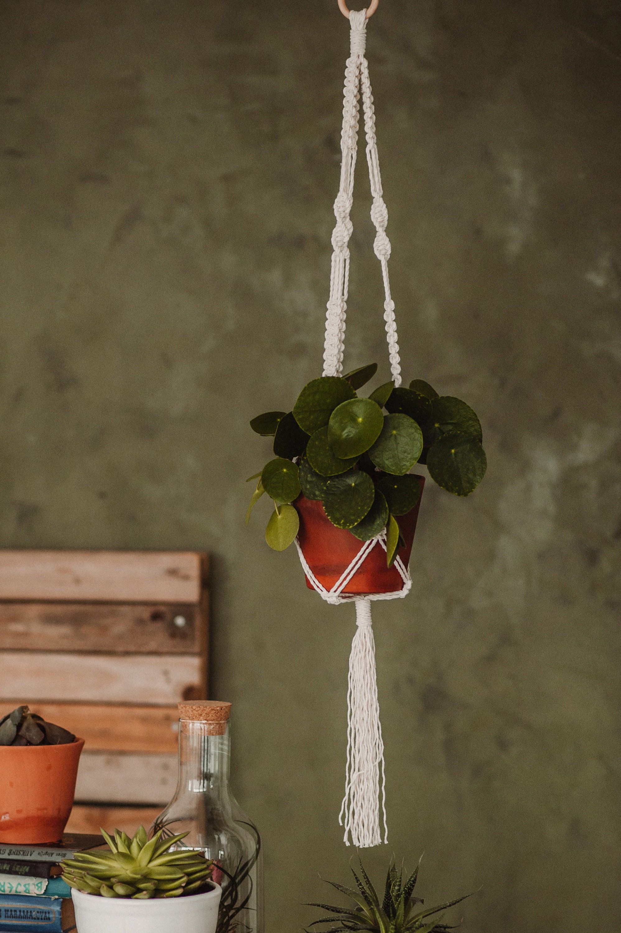 Macrame Plant Hanger Flower Pot Holder Macrame Hanging | Etsy