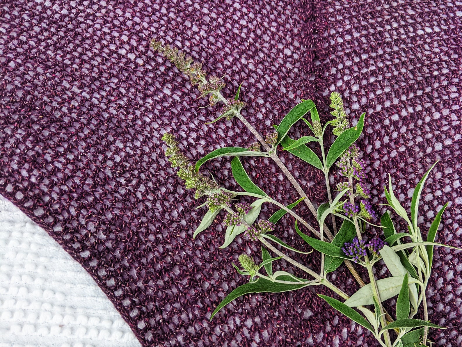 Batwing Crochet Dragon Wing Shawl PATTERN PDF Lace Weight - Etsy