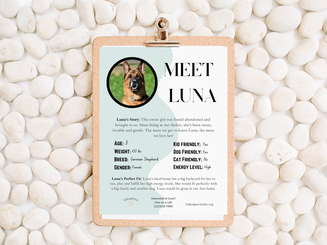 Animal Shelter Kennel Card Adoptable Pet Introduction Card Kennel Card ...
