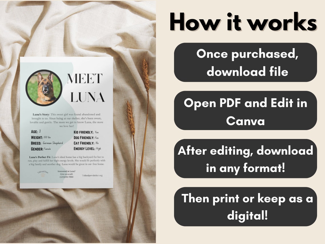 Animal Shelter Kennel Card | Adoptable Pet Introduction Card | Kennel ...