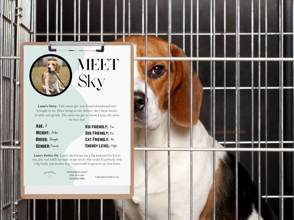 Animal Shelter Kennel Card | Adoptable Pet Introduction Card | Kennel ...