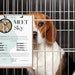 Animal Shelter Kennel Card | Adoptable Pet Introduction Card | Kennel ...