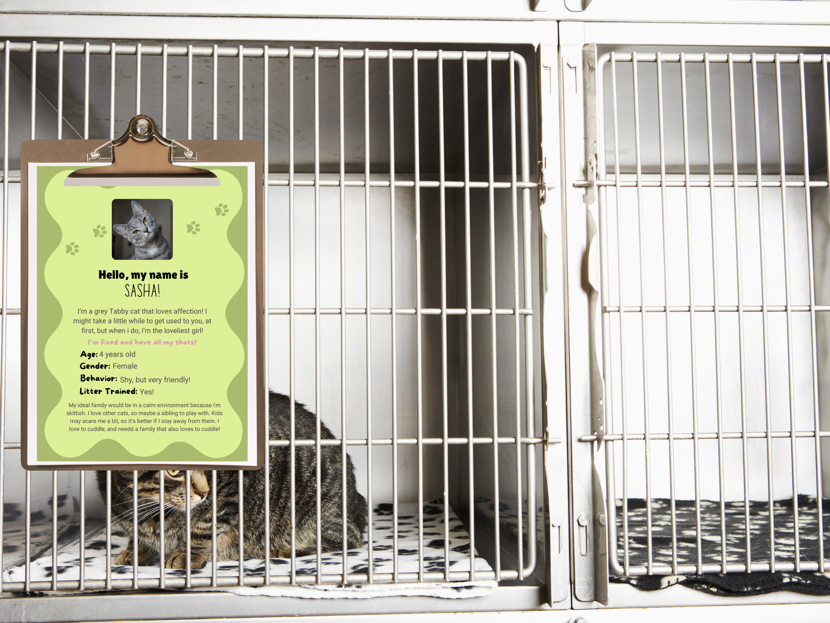 Animal Shelter Kennel Card | Adoptable Pet Introduction Card | Kennel ...