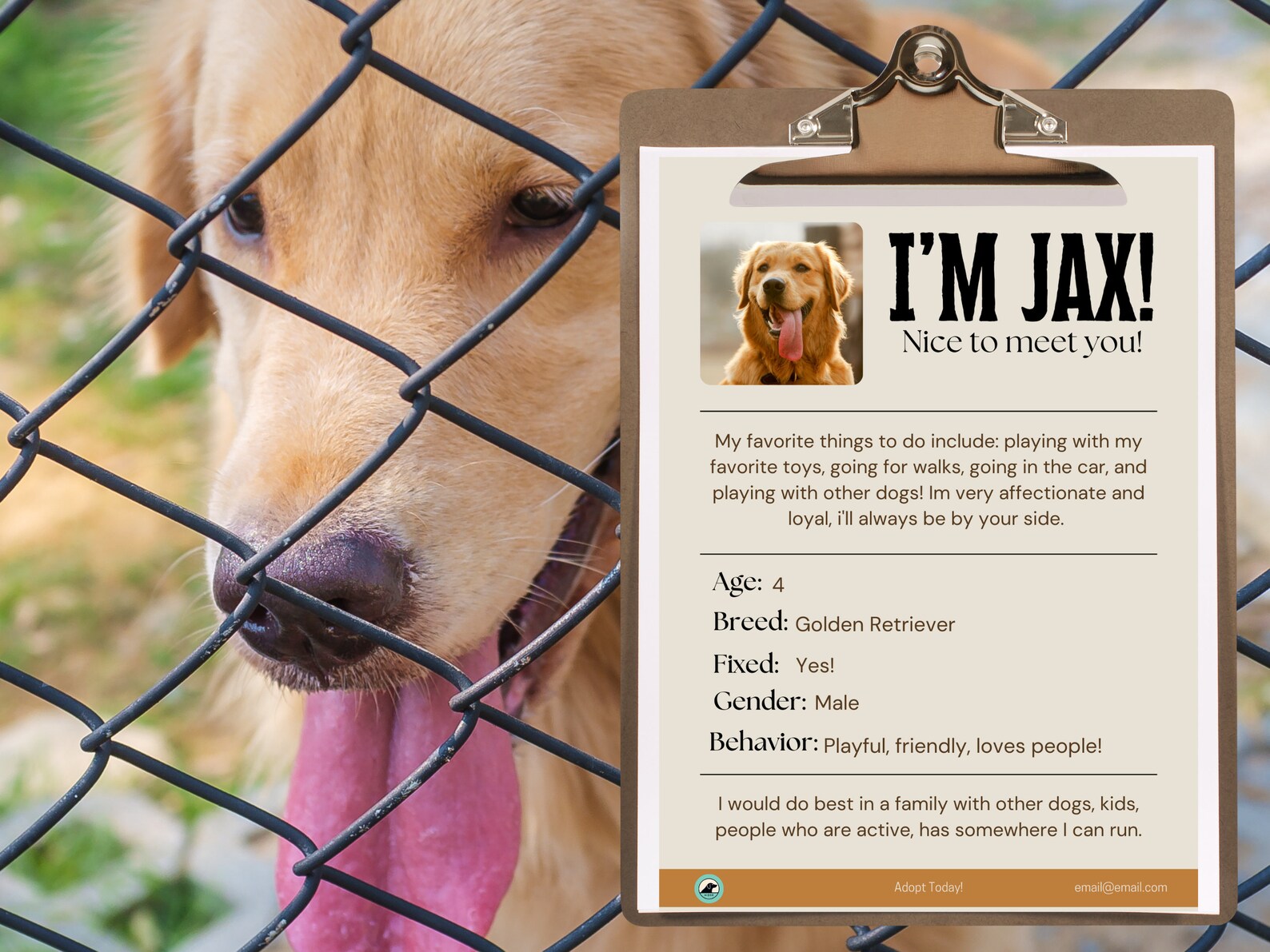 Animal Shelter Kennel Card | Adoptable Pet Introduction Card | Kennel ...