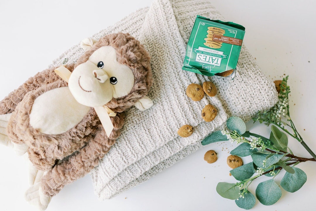 Monte the Monkey Snacks + Snuggles Care Kit | Grief, Divorce + Sickness ...