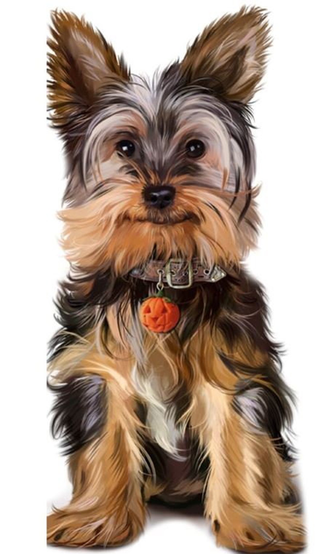 Iron on Transfer Patches Dog Heat Transfer for Clothes T-shirt,jeans ...