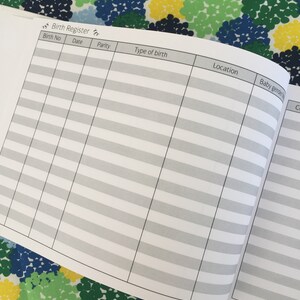 The Midwife's Birth Register - Etsy