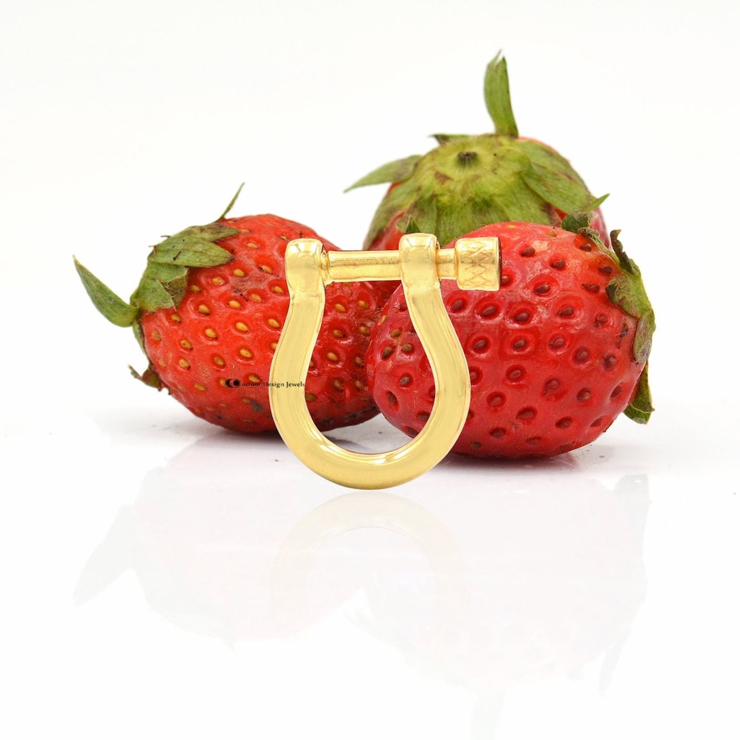 Solid 14K Gold Shackle Lock, Snaffle Bit Lock, Screw Shackle Carabiner ...