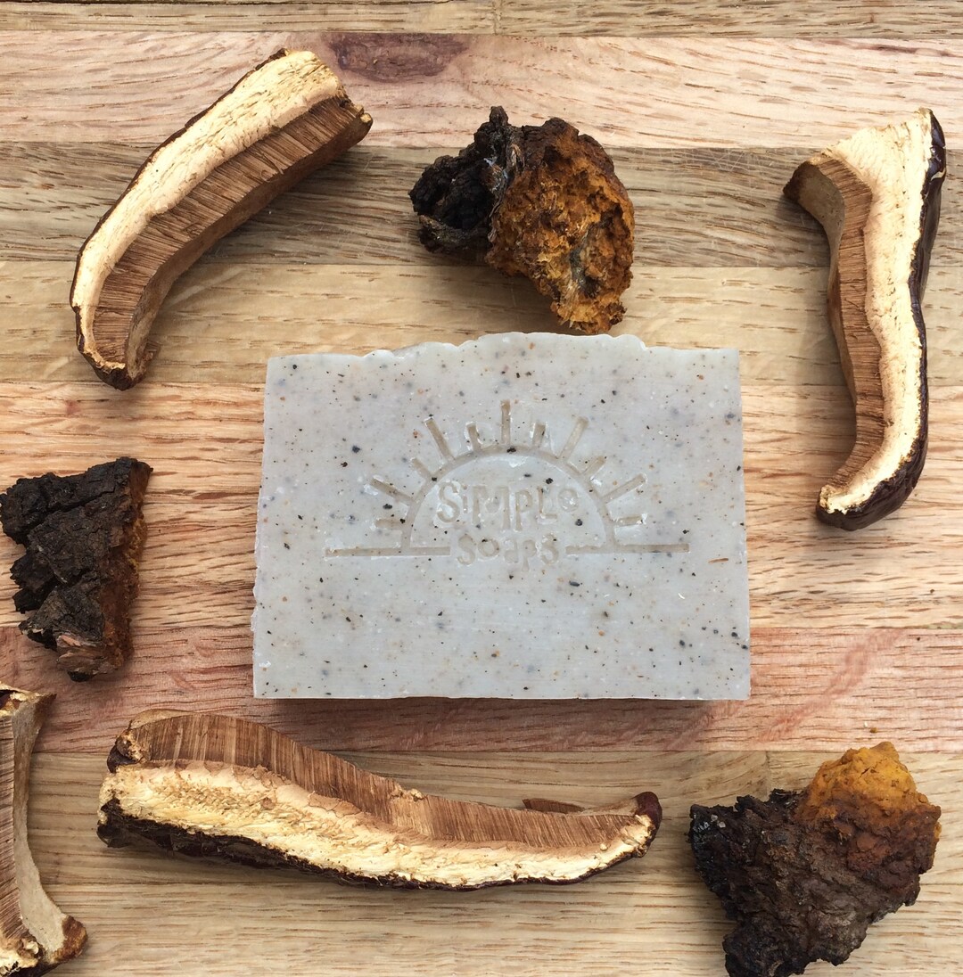 Chaga Reishi Mushroom Soap - Etsy