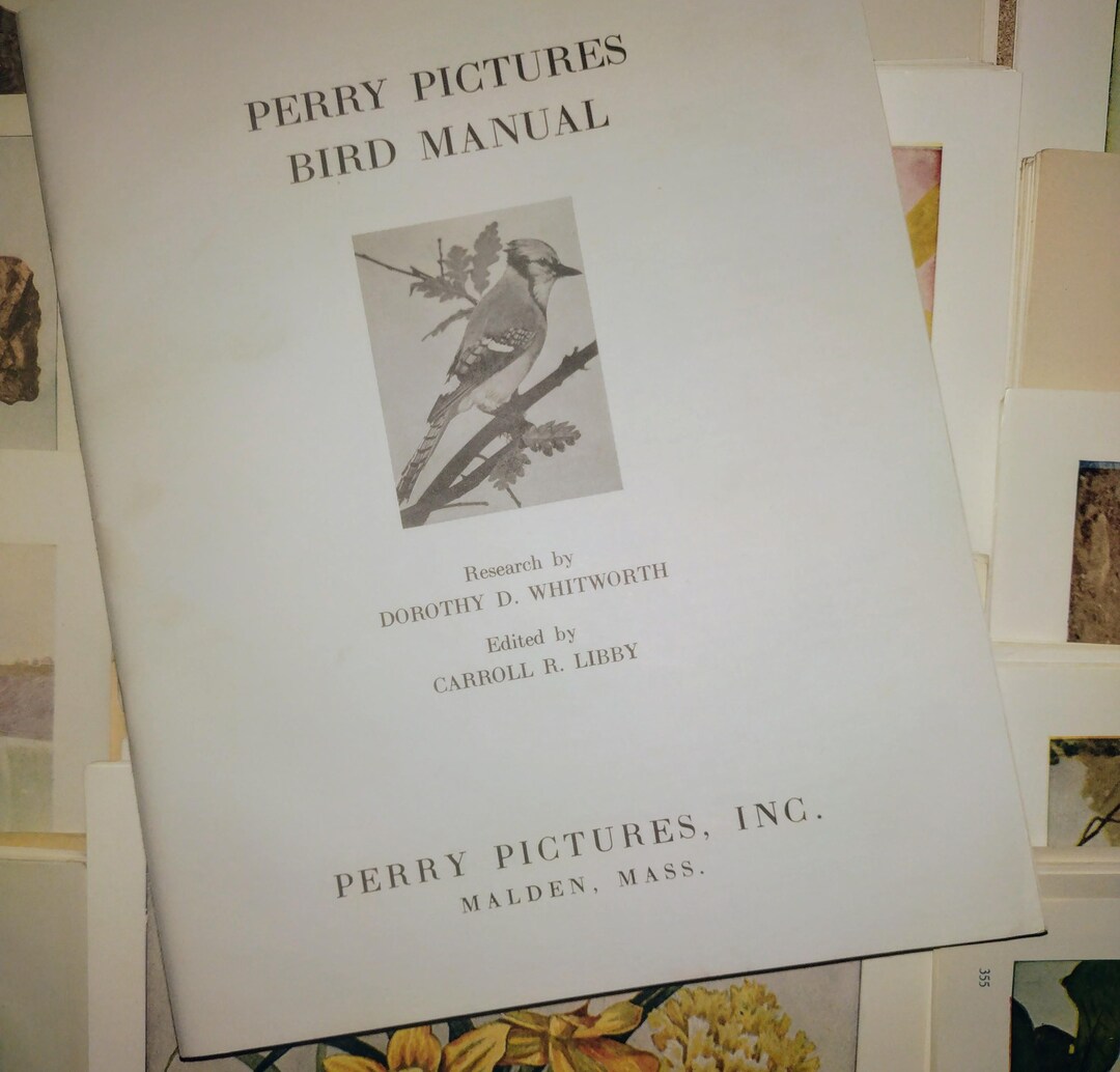Perry Pictures Mostly Birds, With Red Case - Etsy