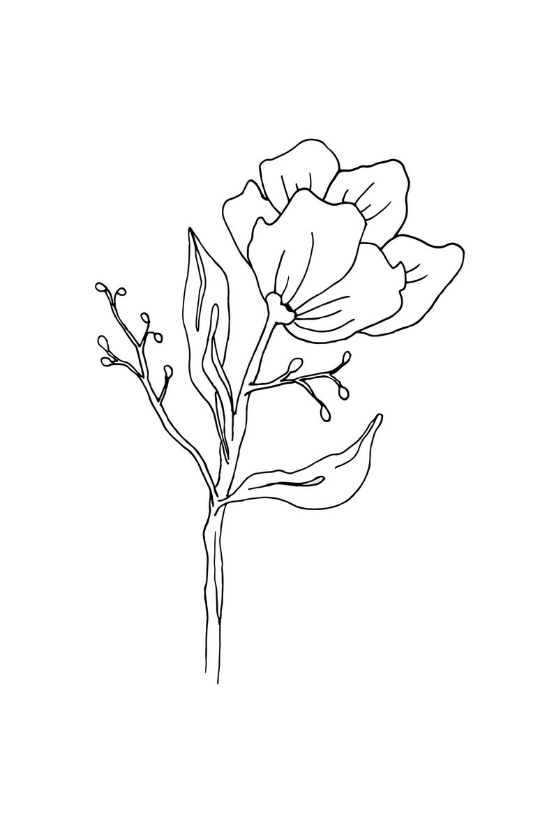 Poppy 2 // Line Drawing Digital Print - Etsy