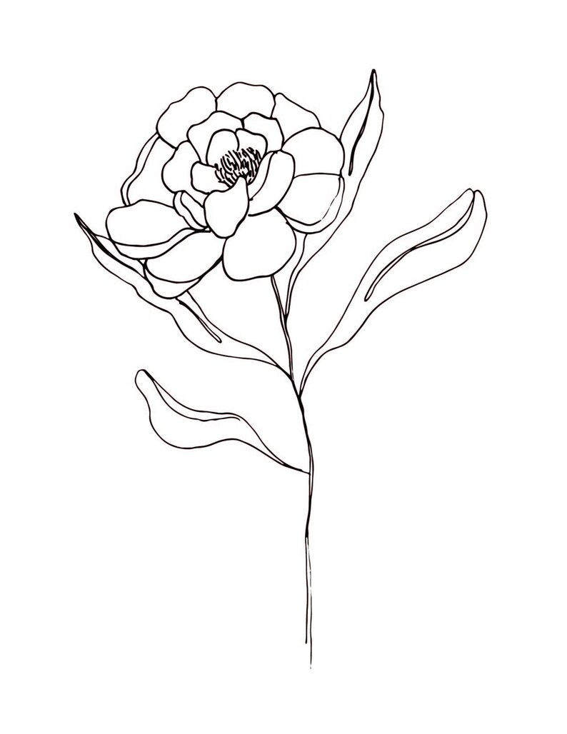 Peony // Line Drawing Digital Print - Etsy