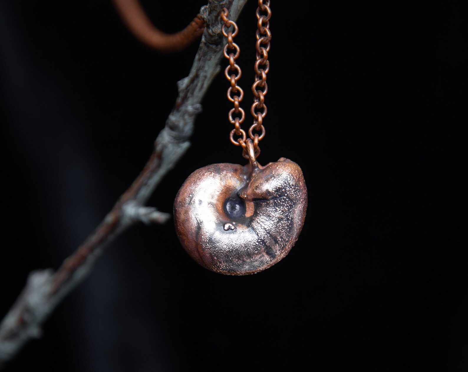 Real Snail Shell Necklace Goblincore Jewelry Copper - Etsy