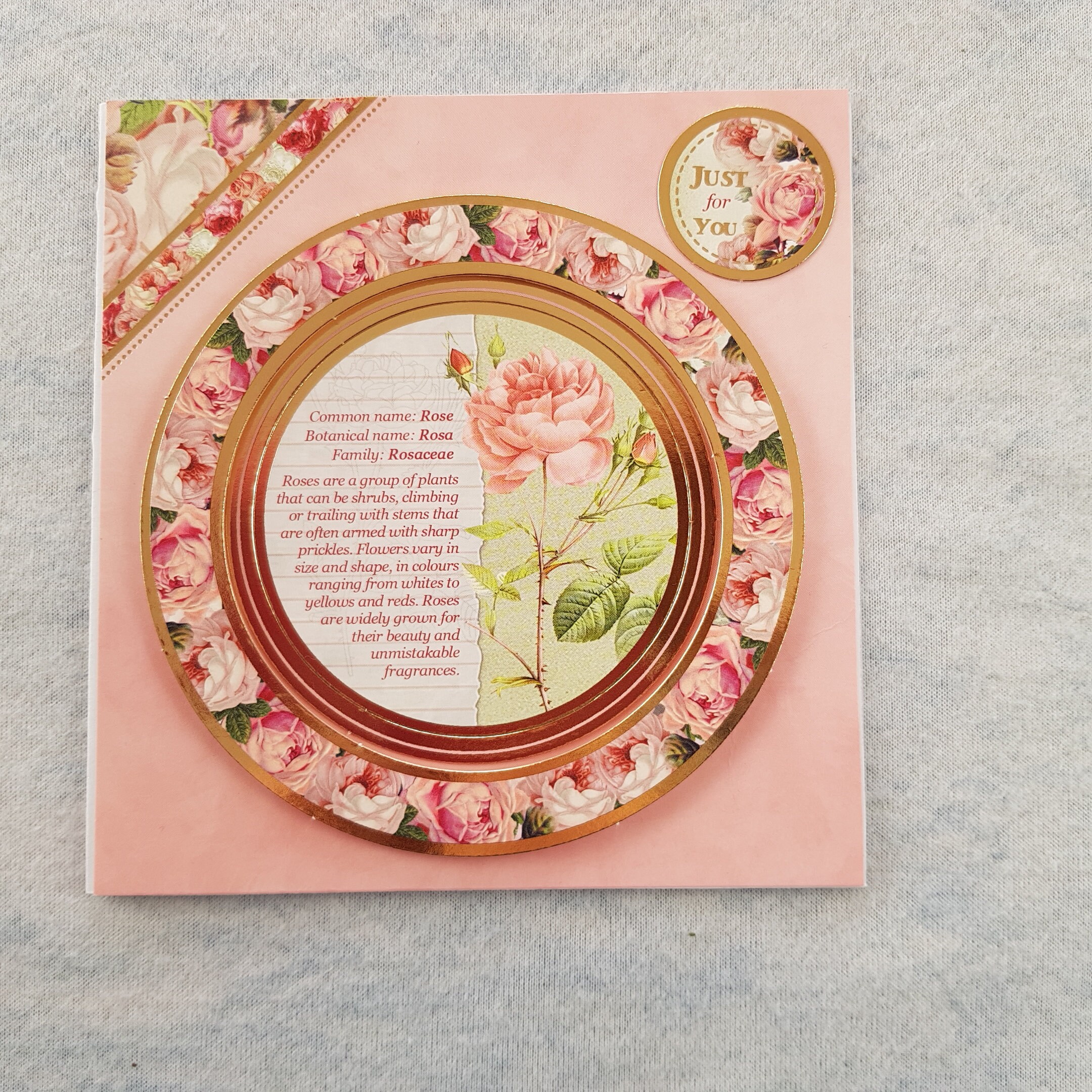 Just for You Card With Roses on the Card . - Etsy UK